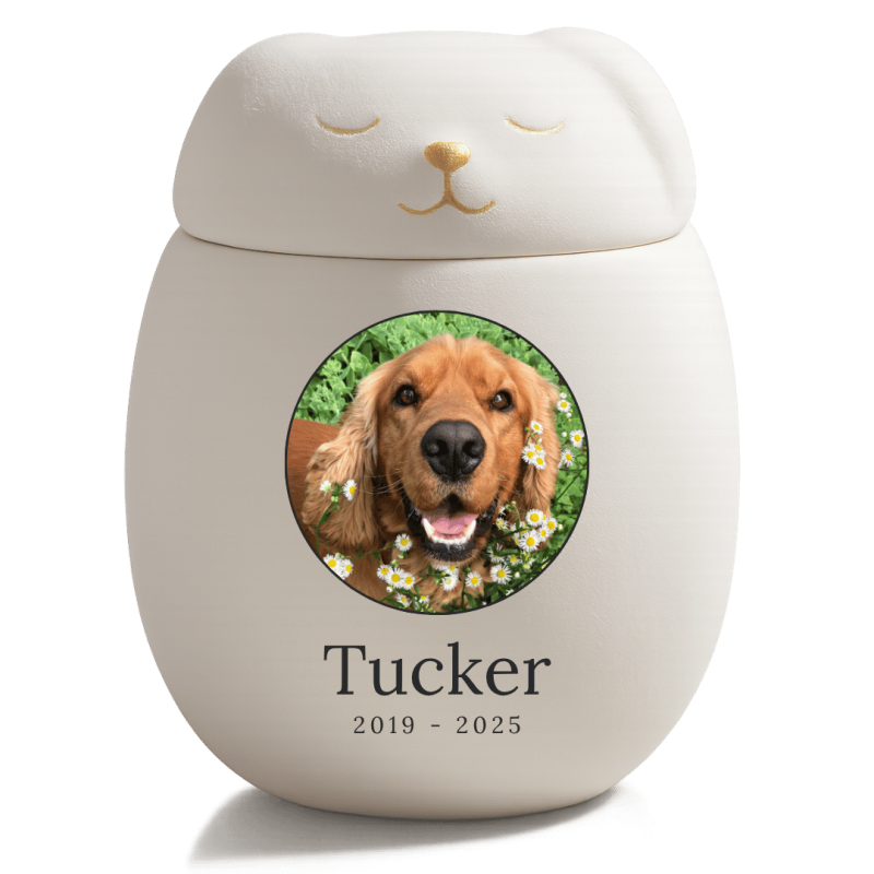 Personalised Ceramic Dog Urn with Photo in a Heartfelt Halo Frame